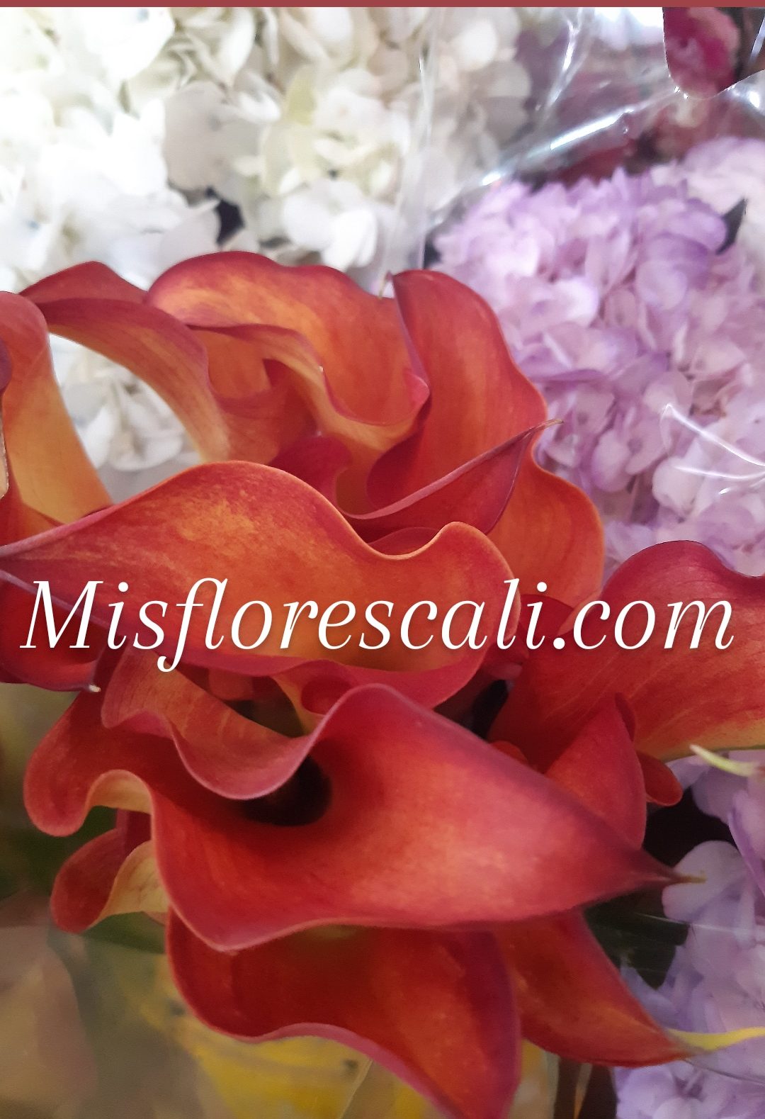 Paquete De Cala Rojo Vino Tinto o Color Naranja Ref #90 | Mis Flores Cali